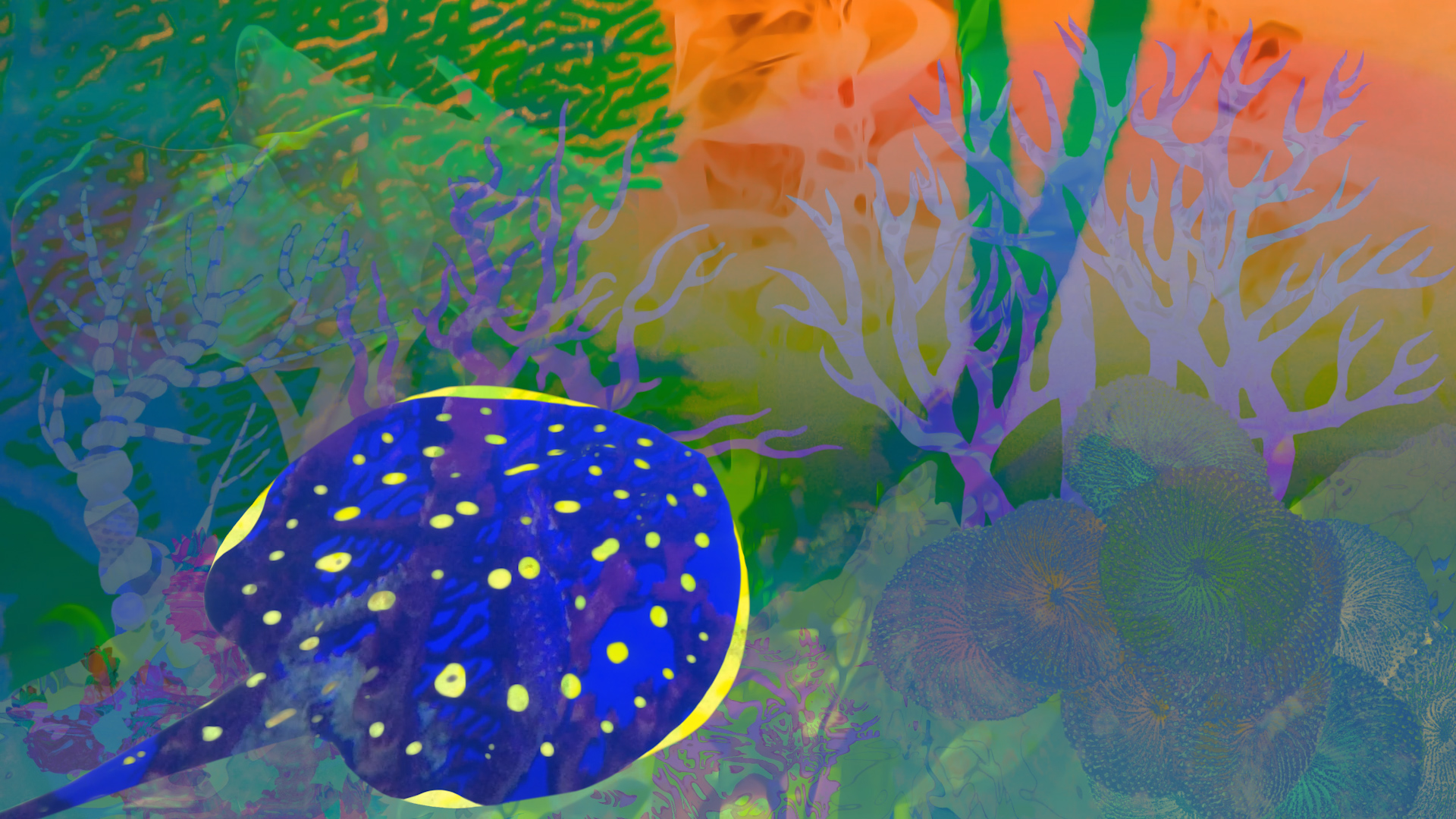 The Shanghai Restoration Project 上海复兴方案 | Videos